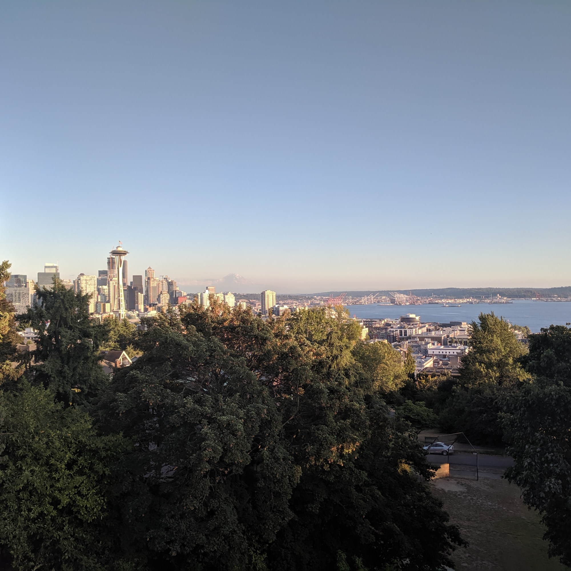 Seattle Summers – This Wildflower Life