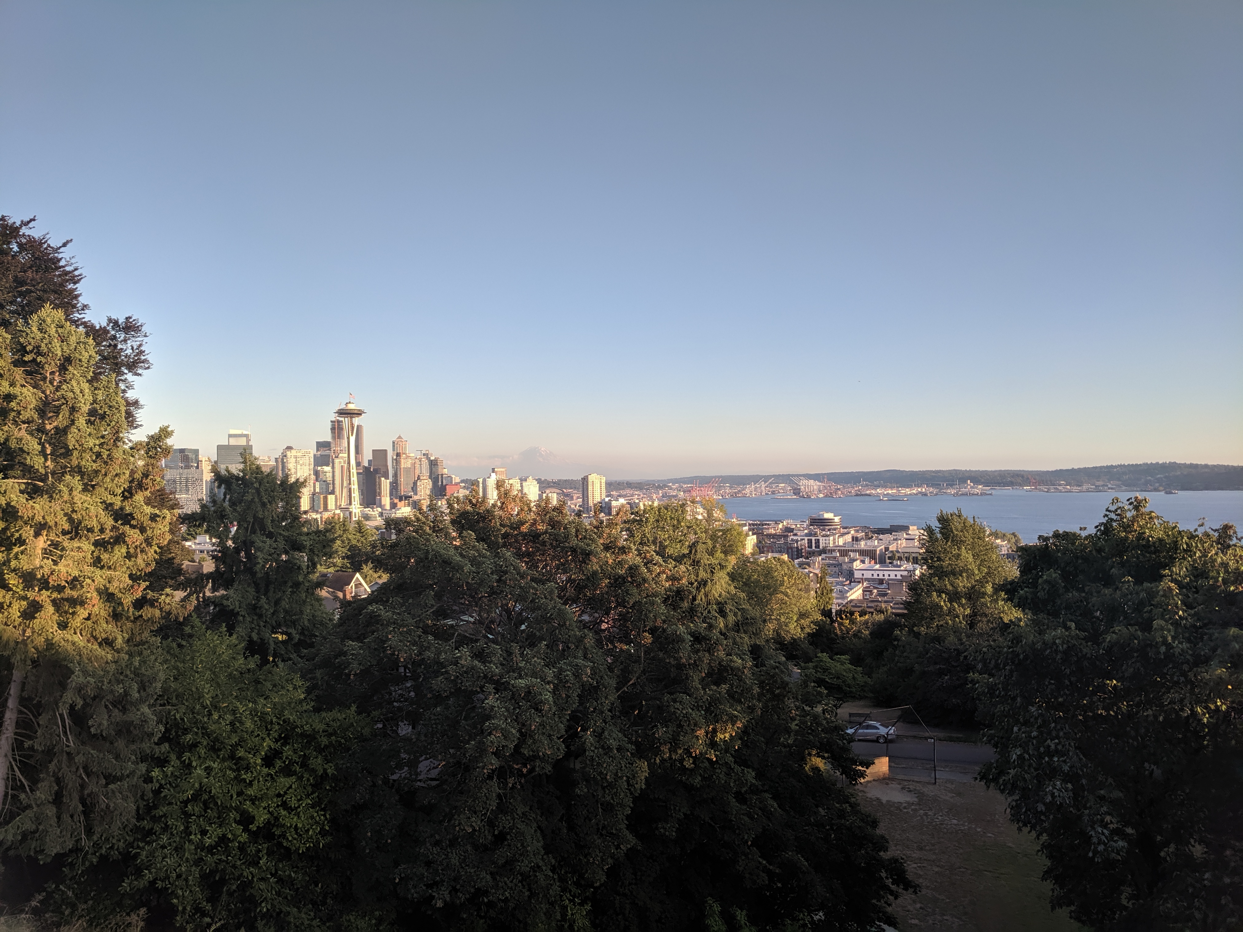 Seattle Summers – This Wildflower Life